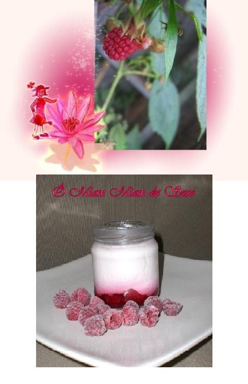 YAOURT FRAMBOISE - ô Miam Miam de SoSo