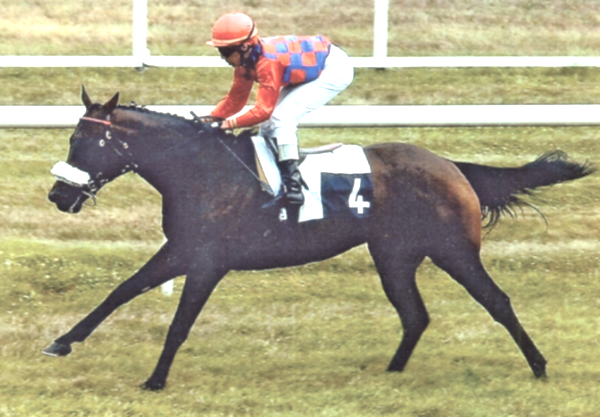 Nadeel de Faust, un 50% qui sort des sentiers battus! - Le blog des ...