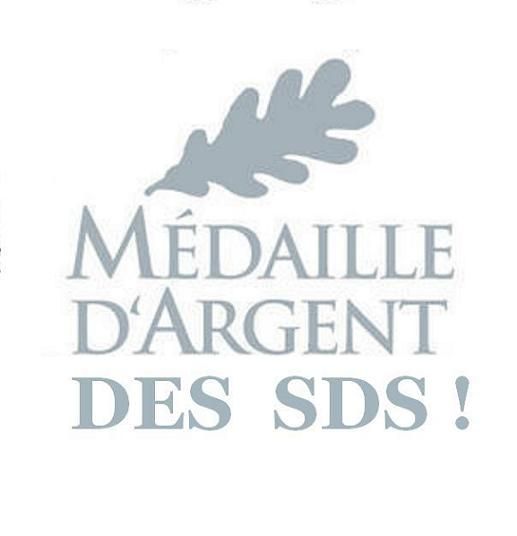 Test #1: Quel SDS es-tu? - La rubrique du SDS