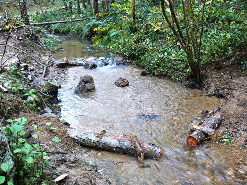 Aménagement de caches à poissons - Carna-Passion