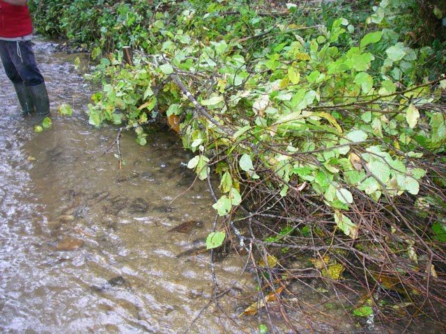 Aménagement de caches à poissons - Carna-Passion