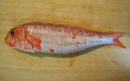 Fileter un poisson rond... en images - Le Sot L'y Laisse