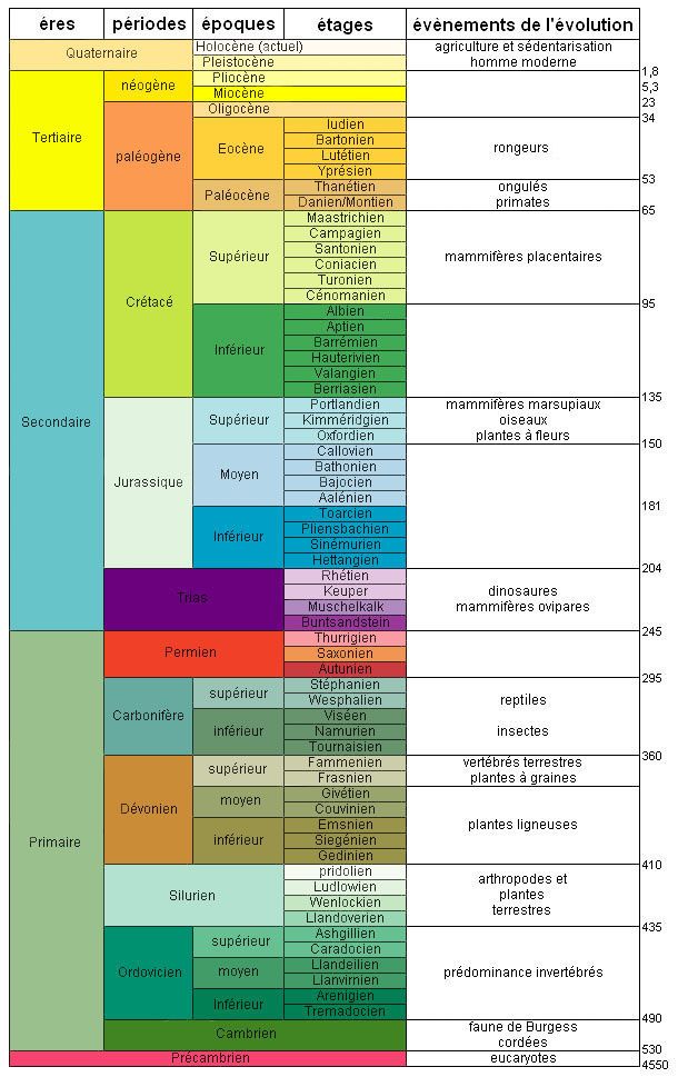 l'échelle géologique - PALEO'EXPO