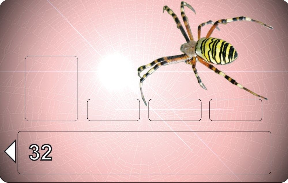 Le sticker araignées sur toile rose - Stickers pour cartes de crédit