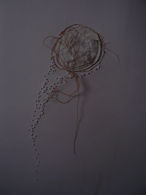 Album - Picotis - Le blog de Grégory CARLIER