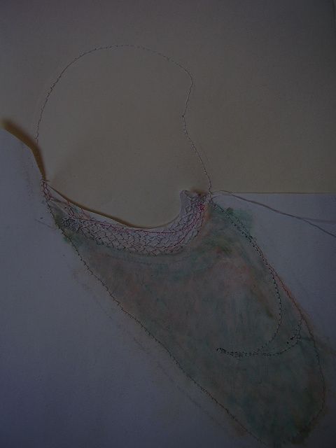 Album - Picotis - Le blog de Grégory CARLIER