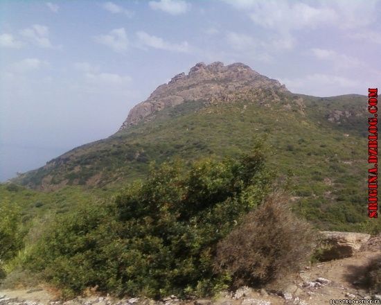 Vagues...Destination cap de fer (2) - srigina