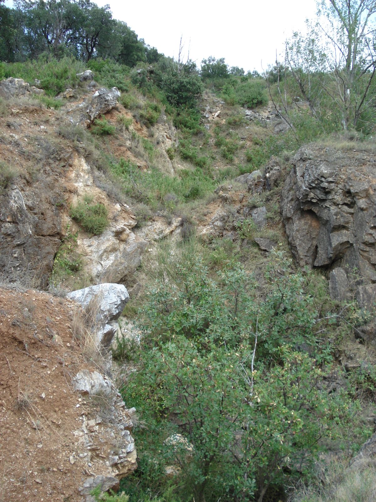 PROSPECTION AU MAS PACHETTE -66- - LE BLOG DES PASSIONNES DE MINERAUX