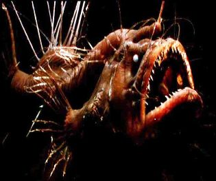 Les abysses - Question de Sciences : LE blog