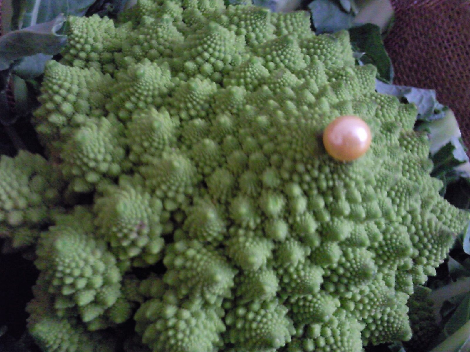 Album - MES-COMPOSITIONS-LEGUMES-EN-FETES - Ma cuisine, mon histoire ...