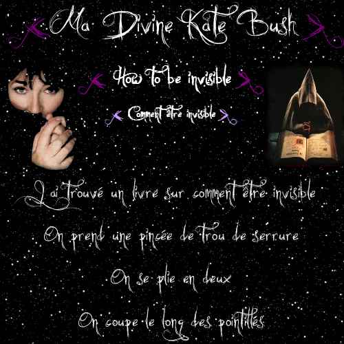 ***Ma Divine Kate Bush***Traduction de : How to be invisible/Comment ...