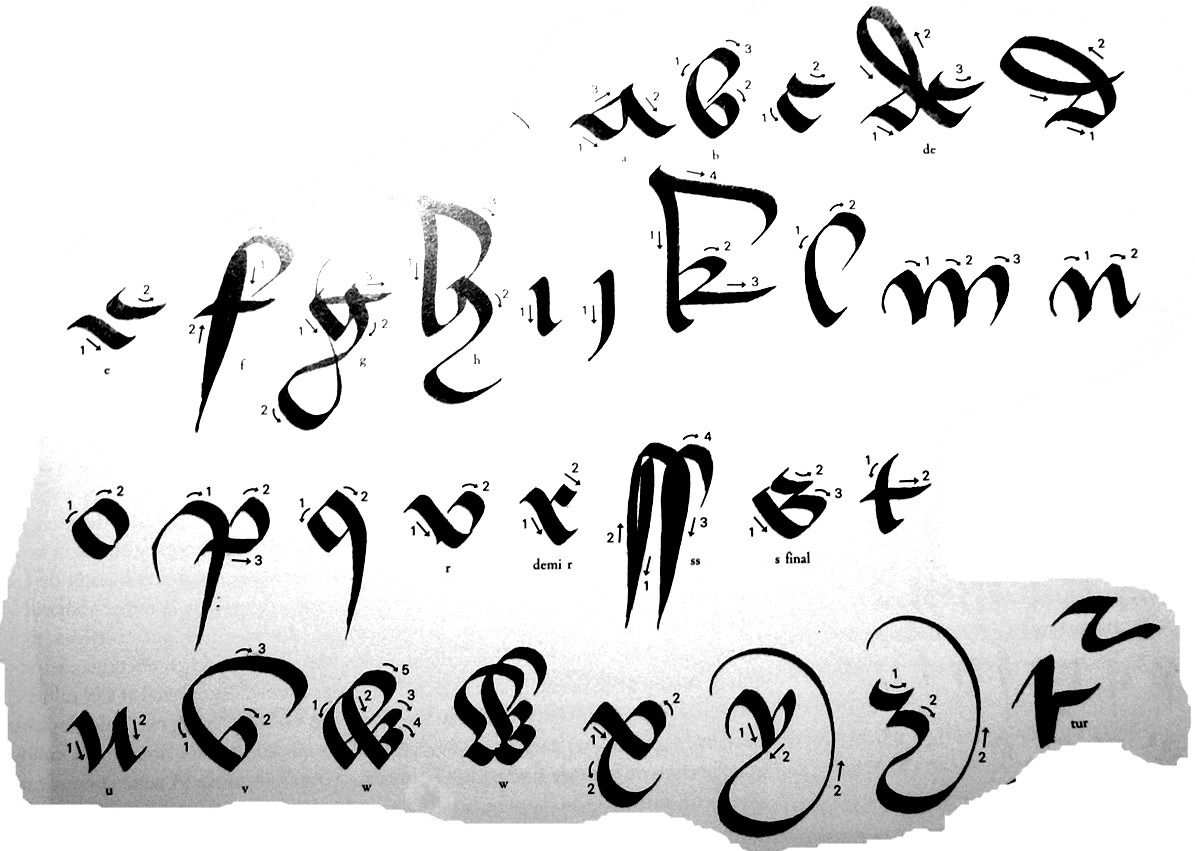 gothique cursive. - Plume et lumière