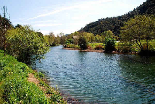 LA RIVIERE OU LES POISSONS CHANTENT - Le blog de freerider06