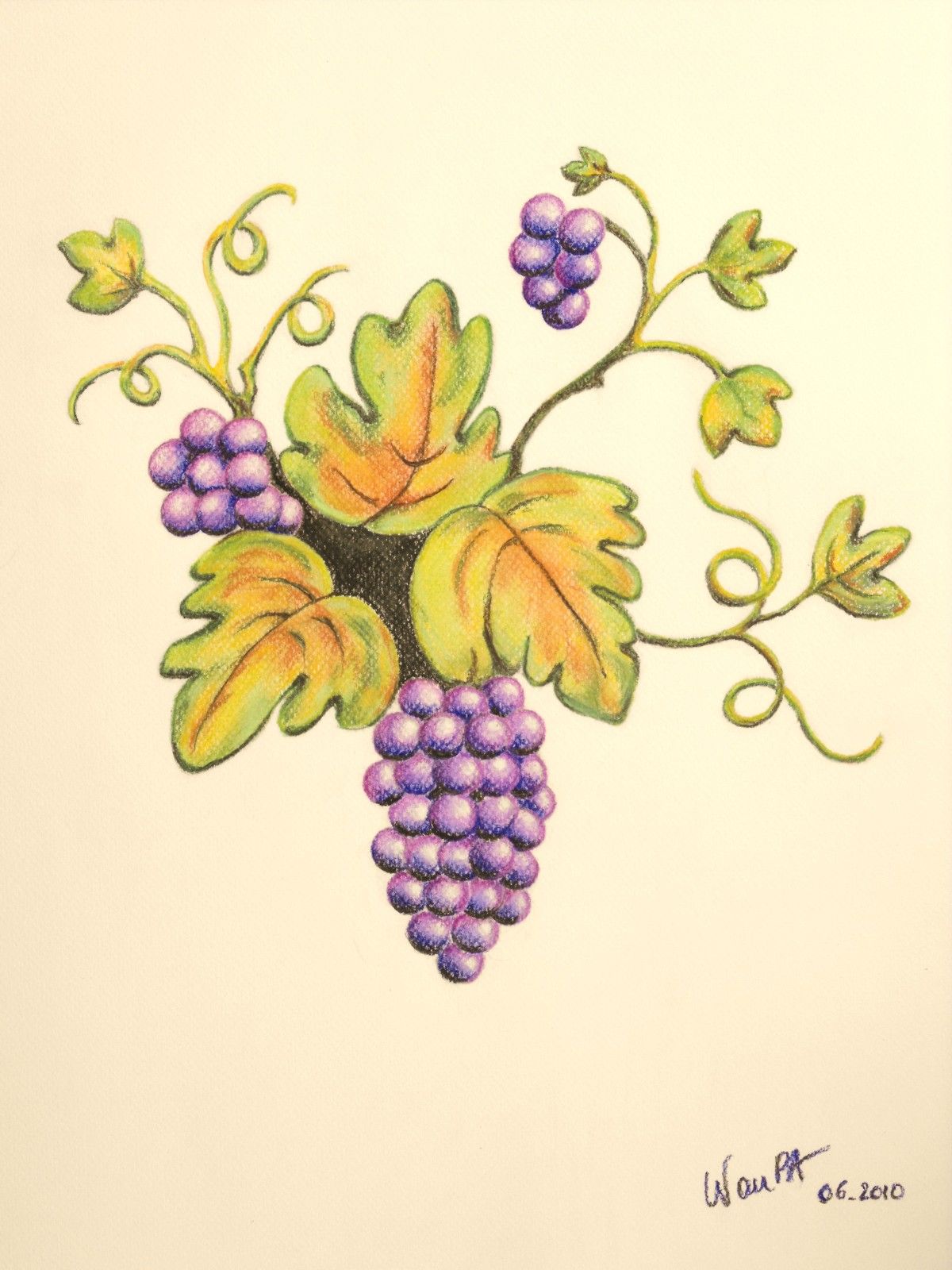 Grappe De Raisin Dessin - Dessin