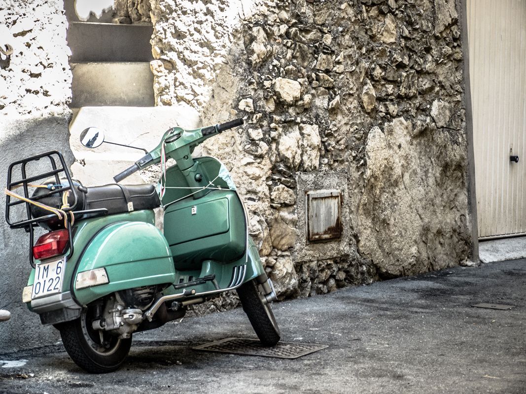 Métallique - Photosymbioses