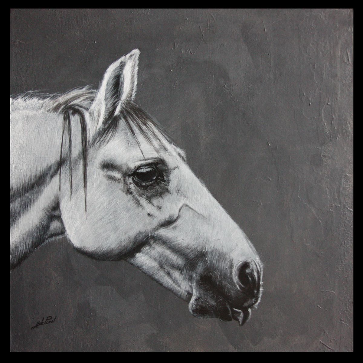 Tête de Cheval - Jean-Baptiste de Poret