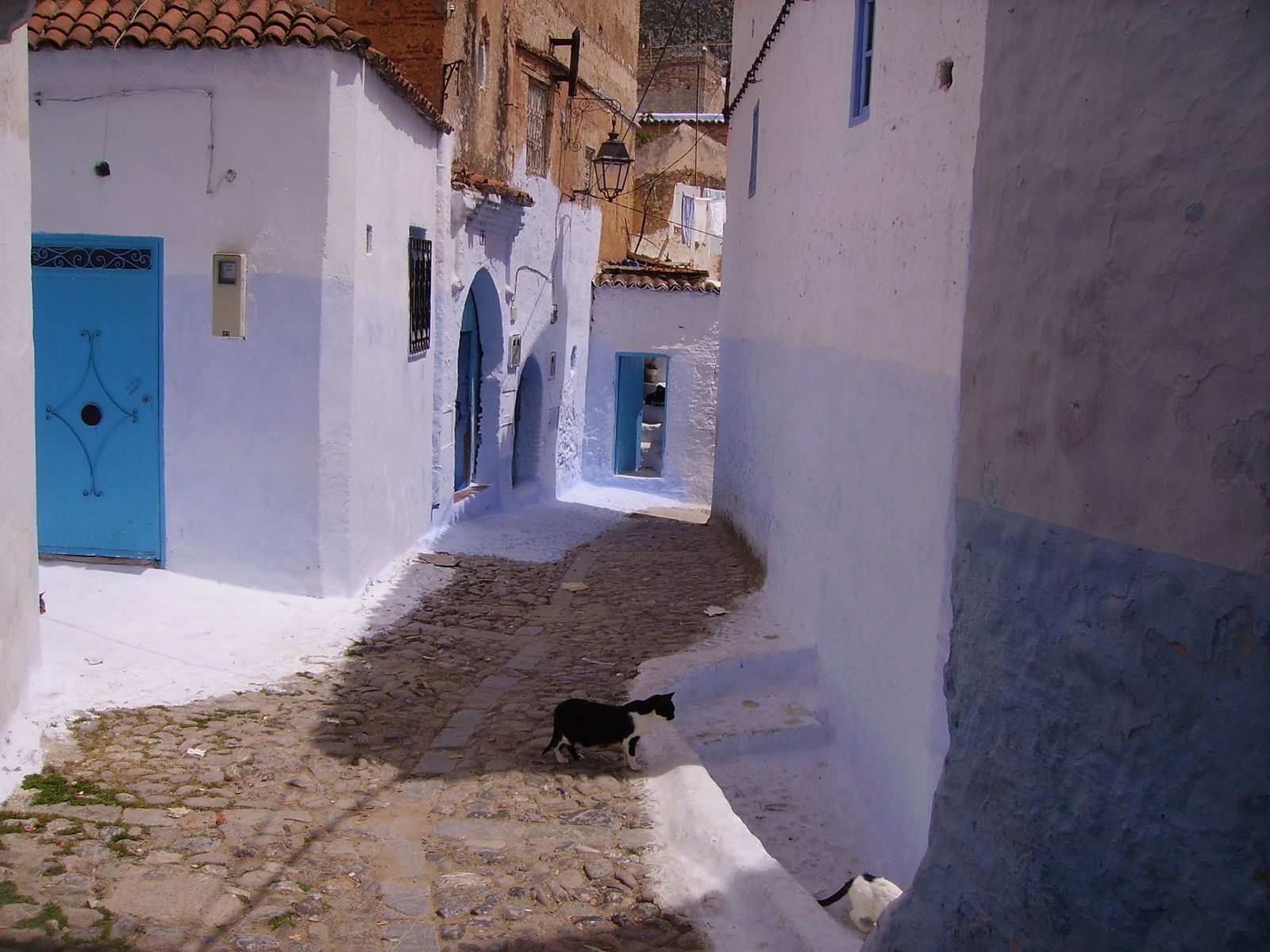Album - CHEFCHAOUEN-dans-le-RIF---la-ville-bleue - Le blog de escapades ...