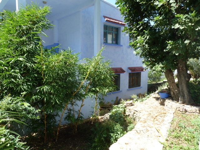 Album - CHEFCHAOUEN-dans-le-RIF---la-ville-bleue - Le blog de escapades ...