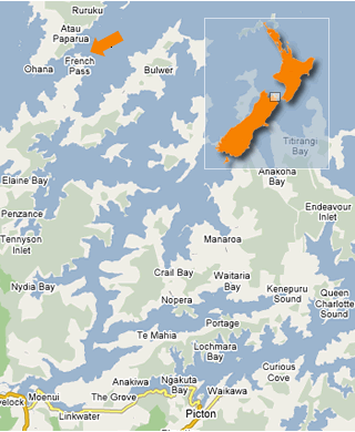 2 semaines de trip moitié nord de l'île du sud - Heidi On The Road Again