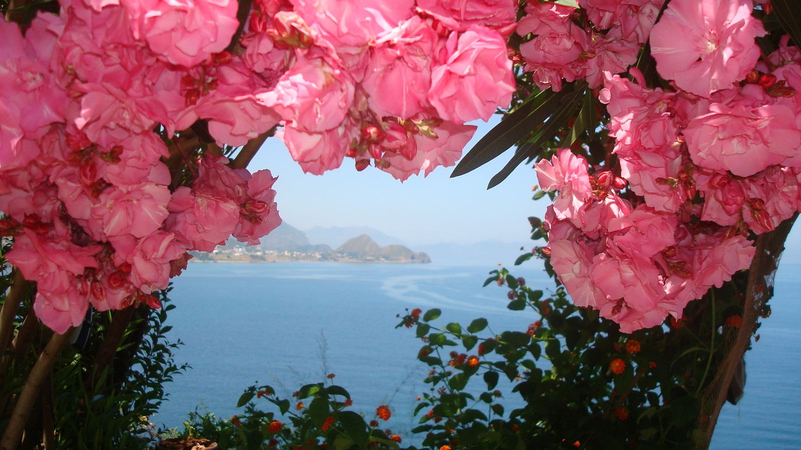 Vue sur la baie de Ziama - Ziama la perle Méditerranéenne