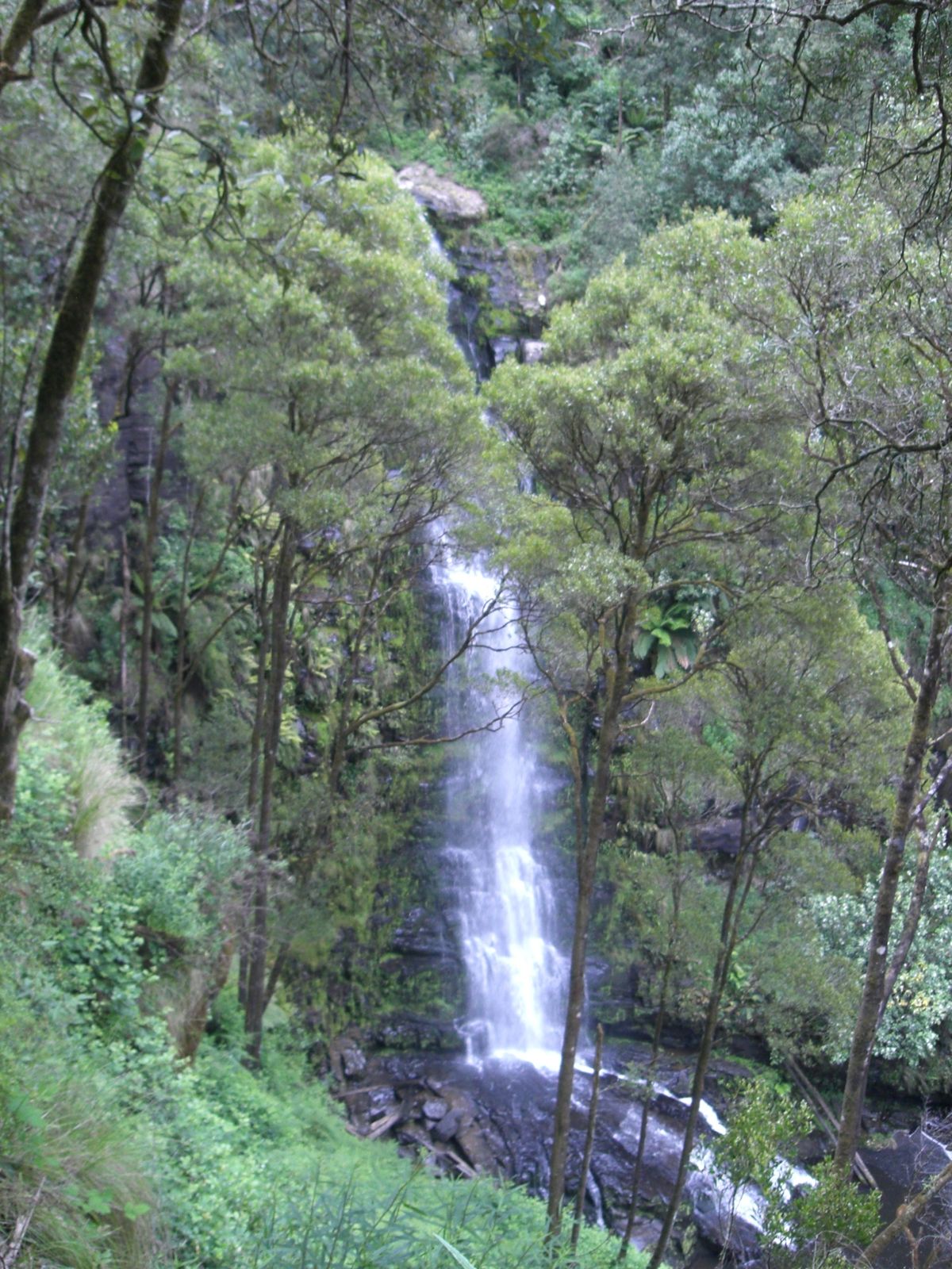 Road Trip : Great Ocean Road - Seb En Australie