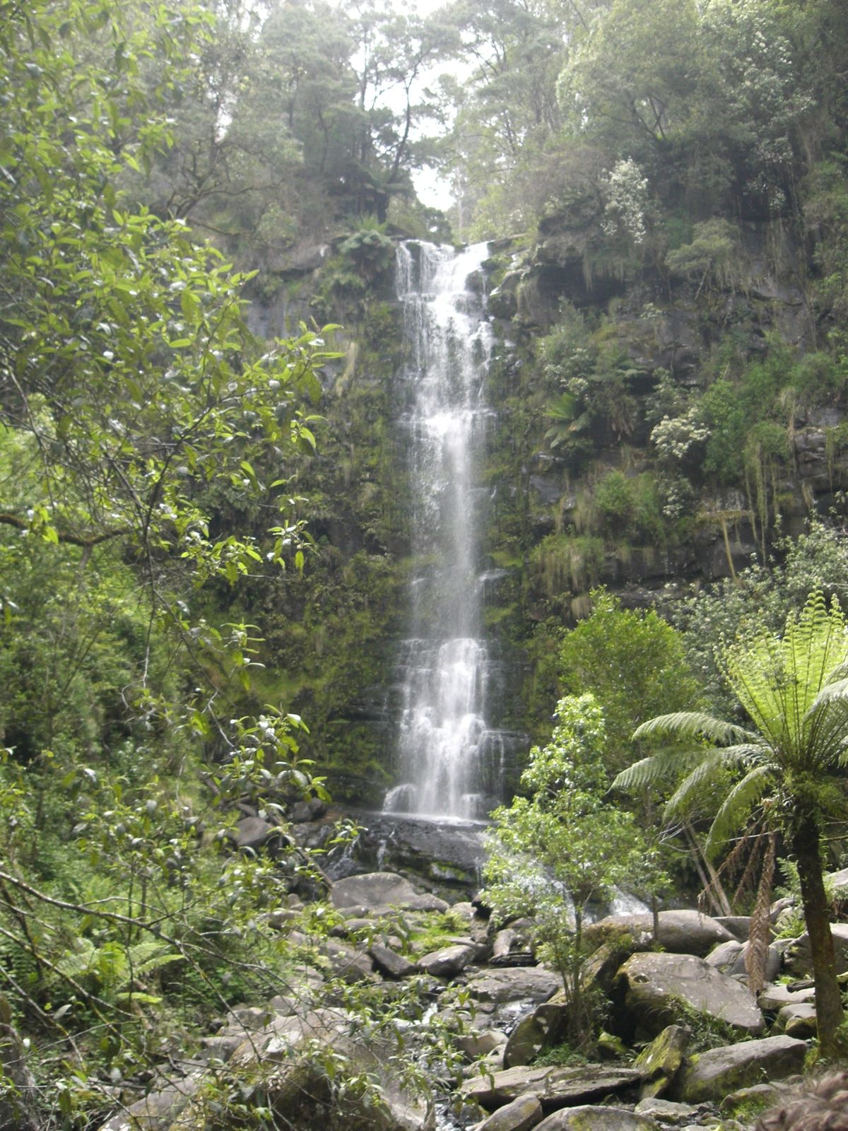 Road Trip : Great Ocean Road - Seb En Australie