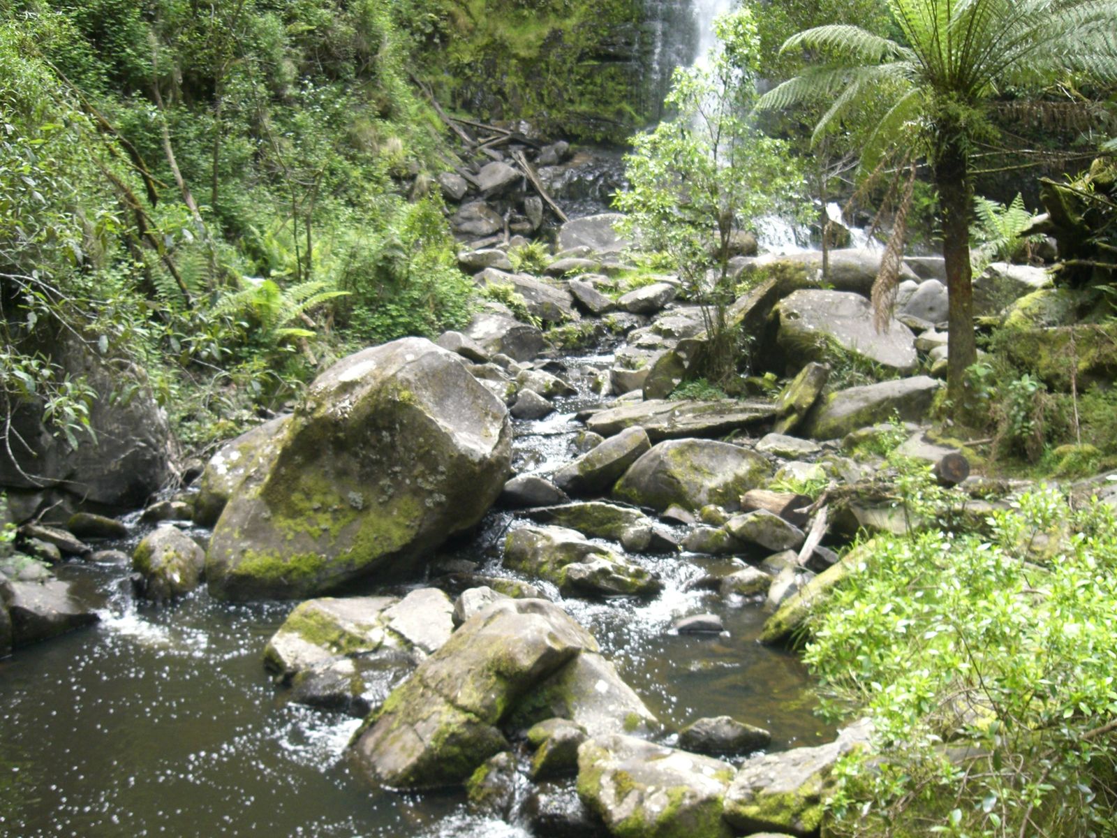 Road Trip : Great Ocean Road - Seb En Australie