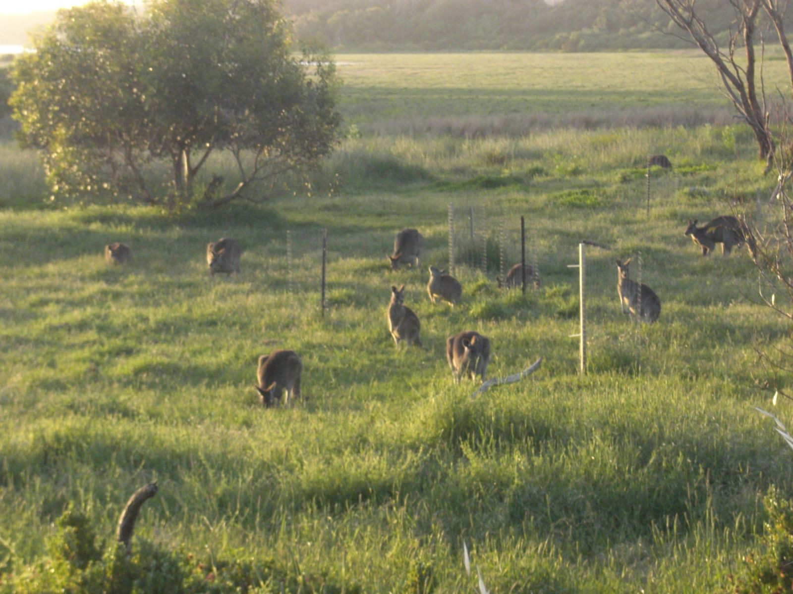 Road Trip : Great Ocean Road - Seb En Australie