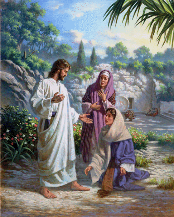 Album - NOEL - BIENVENUE CHEZ SYLVIE DE BATZ