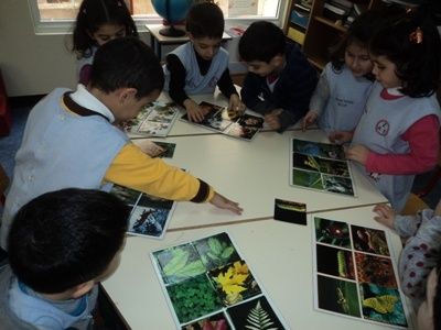 MSB : Manal El Khatib- Rana Chakaroune-Lara Harkous - maternelle-du-lak