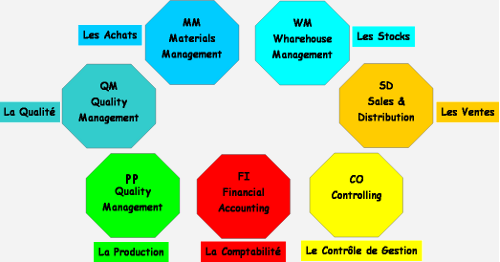 Quelle fonction de l'entreprise est concernée par SAP? - SAP Quesaco?