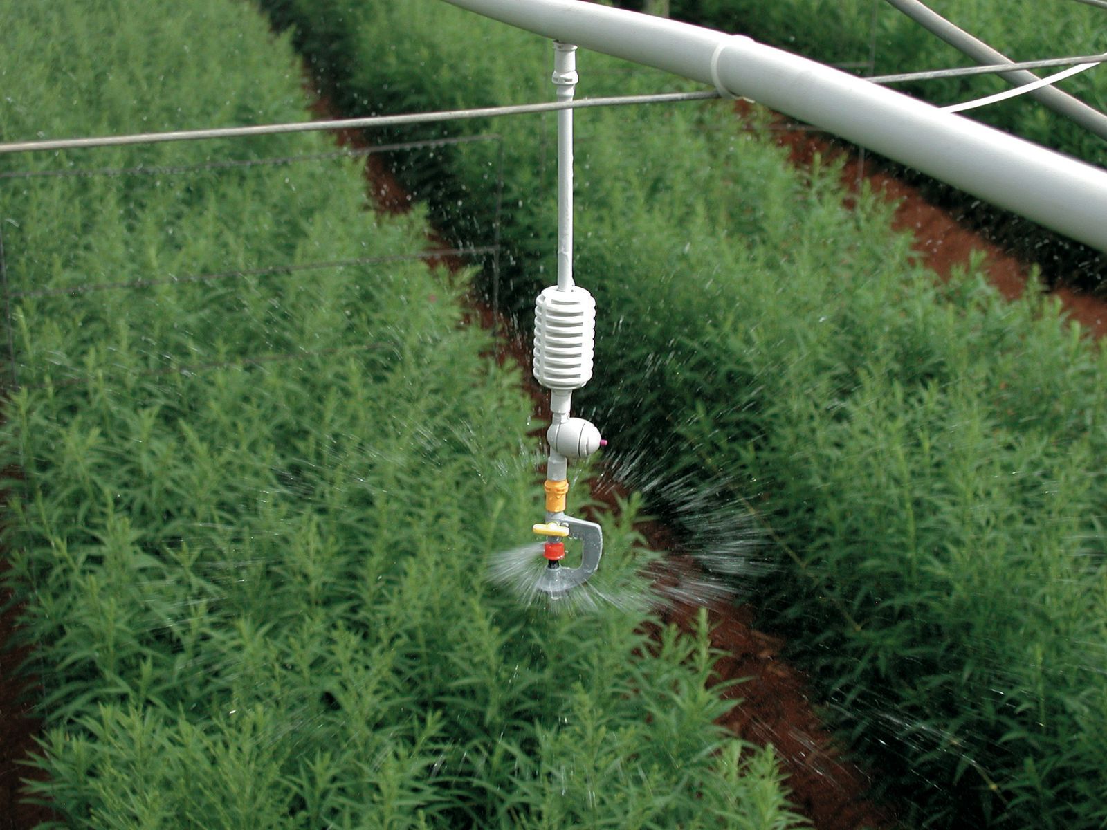 Les systèmes d'arrosage - Sur mon balcon