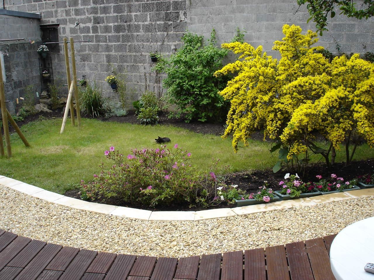 ☑ que planter pour cacher un mur