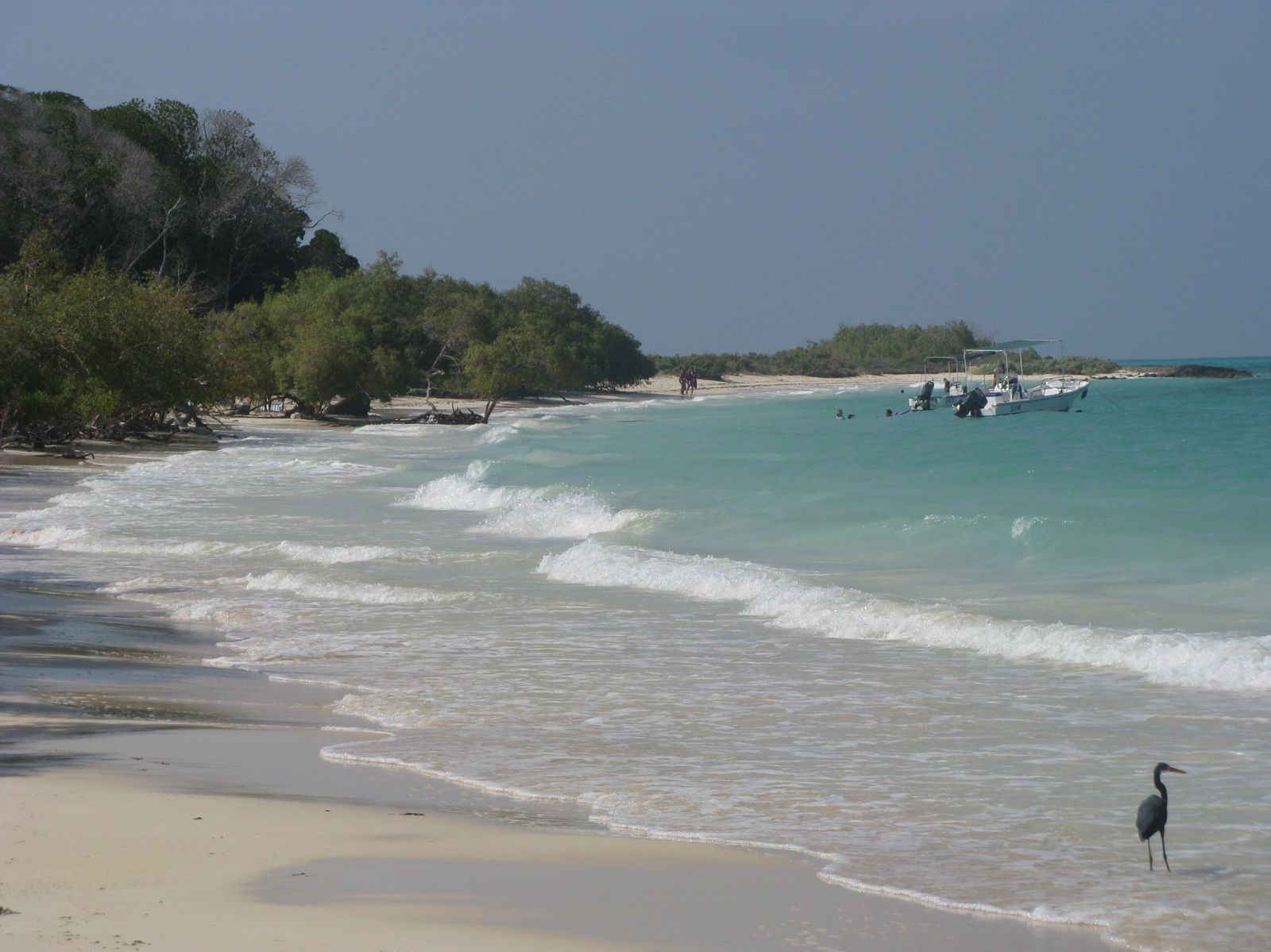 Album - ile-Moucha - djibouti.terre.des.contrastes.over-blog.com