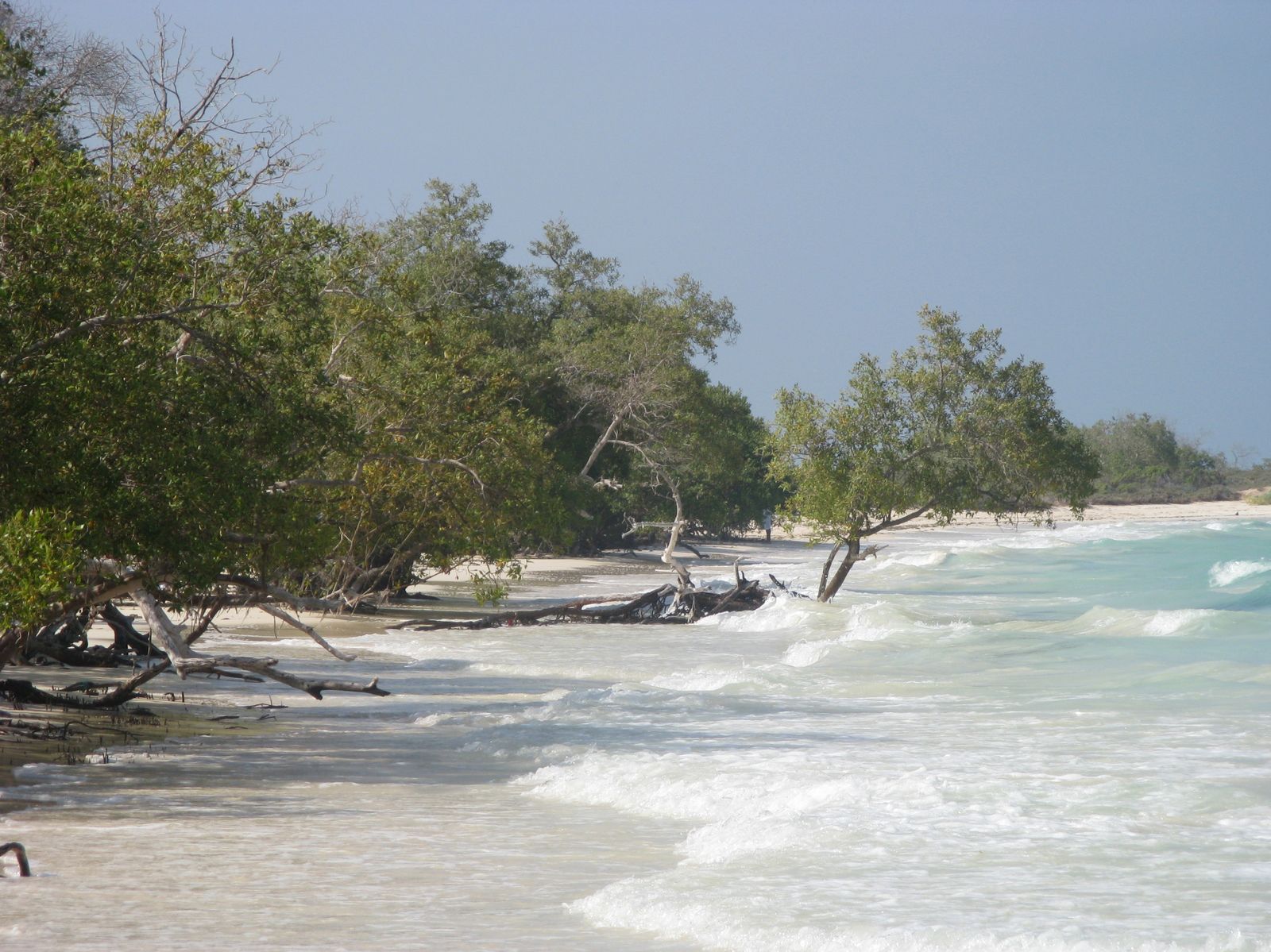 Album - ile-Moucha - djibouti.terre.des.contrastes.over-blog.com