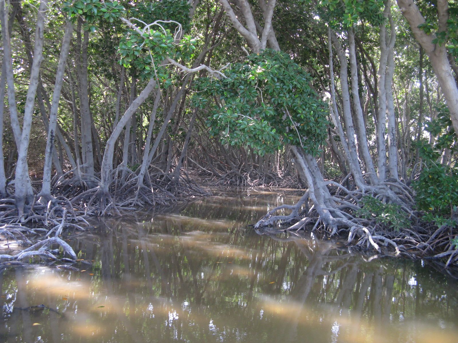 Album - ile-Moucha - djibouti.terre.des.contrastes.over-blog.com