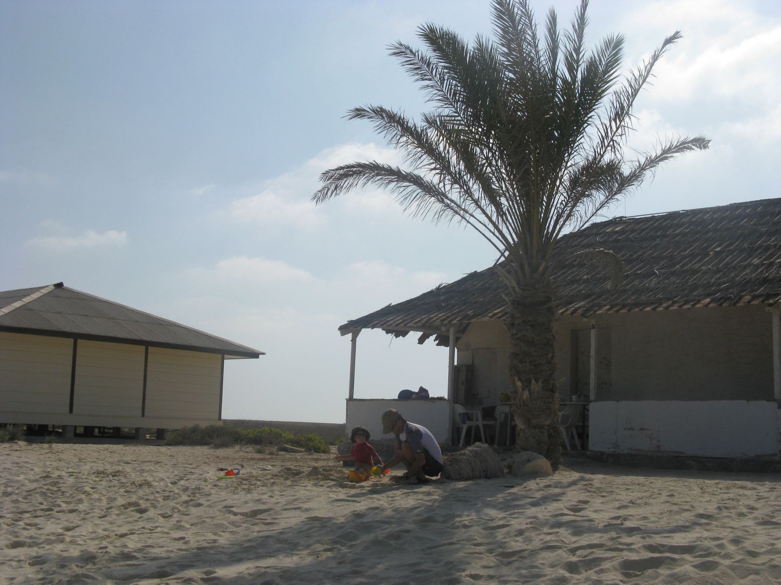 Album - ile-Moucha - djibouti.terre.des.contrastes.over-blog.com