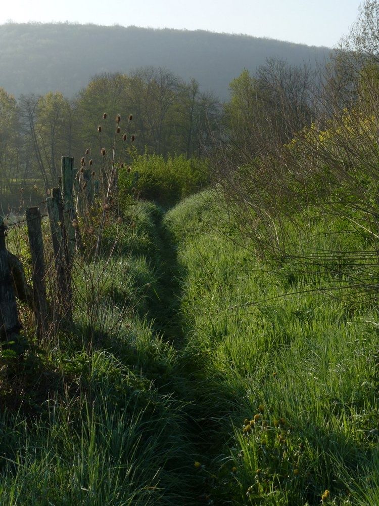 Du camp de Cora à Vézelay. - Vers Compostelle