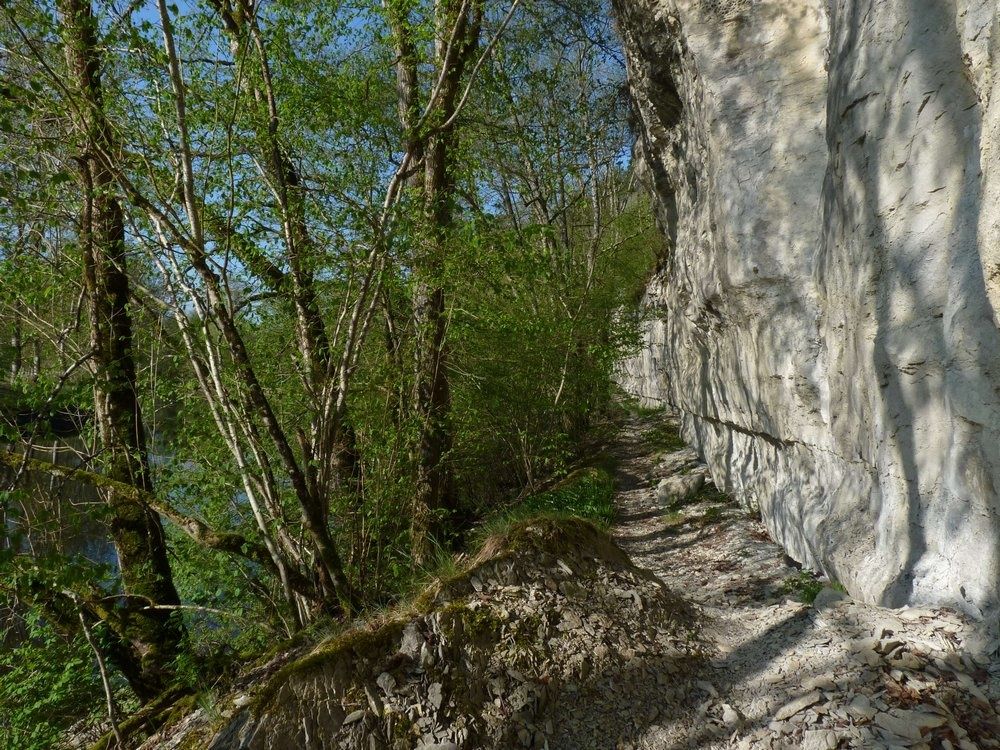 Du camp de Cora à Vézelay. - Vers Compostelle