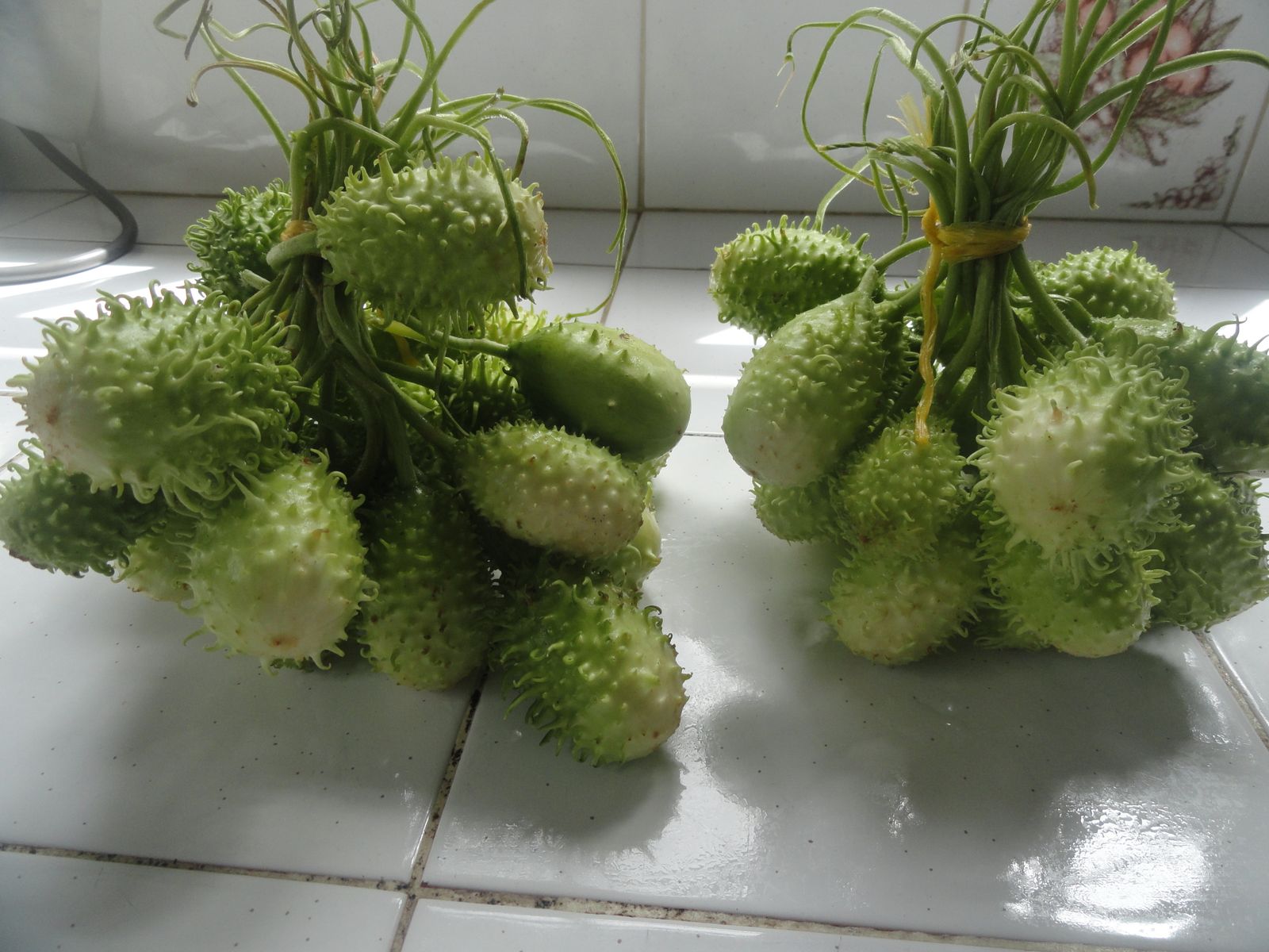 Recettes et Traditions - Authentik-Antilles