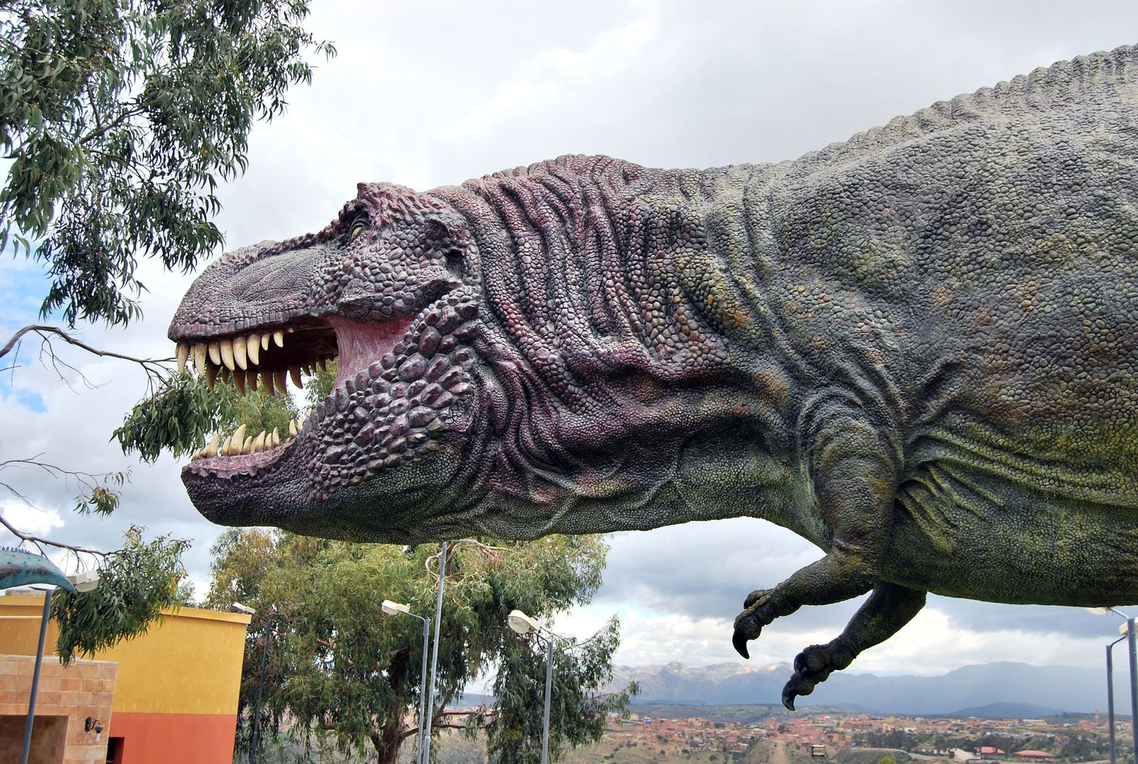 Sucre - La Ruta Latina