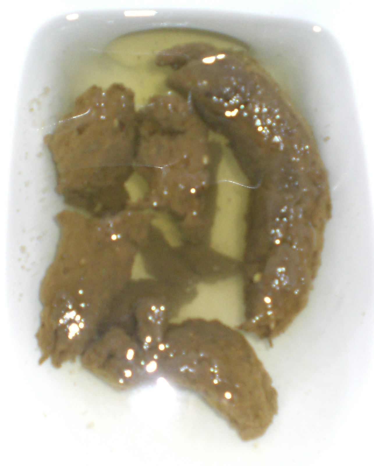 Caca Relique / XL / Ancien Temps - BIENVENUE AU ROYAUME DU CACA ...