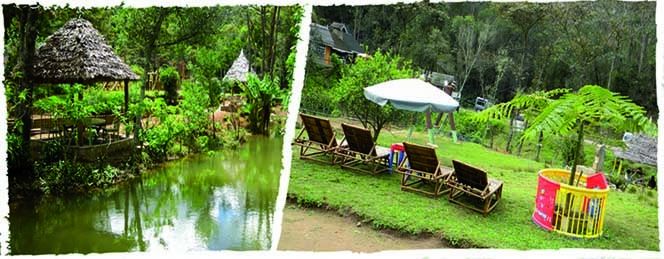 Aire de Repos - MANDRAKA PARK