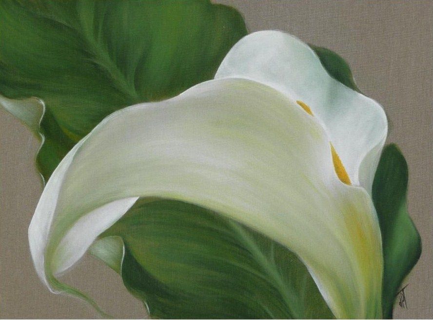 Album - Les fleurs - Créations Dominique Piot Thomas