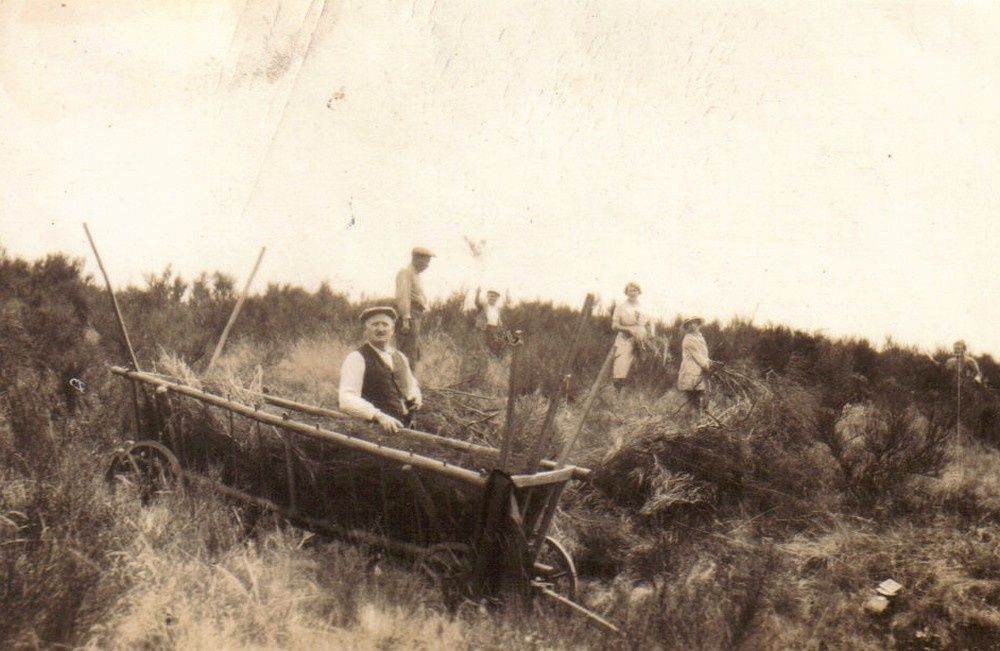 Le Bermont à Champagney - Alain Jacquot-Boileau