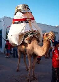 Le mariage à Djerba - Femmes Orientales