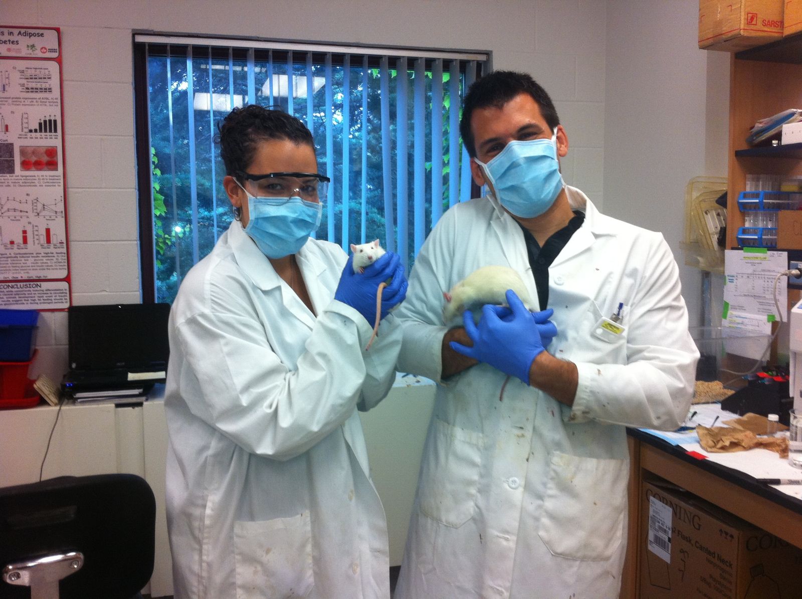 La fac de York et le labo - toronto-r1