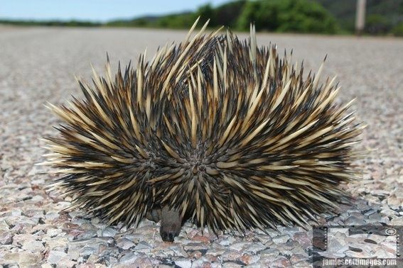 Interview Jamie Scott, Surf Photographer from Asutralia - Le blog de ...