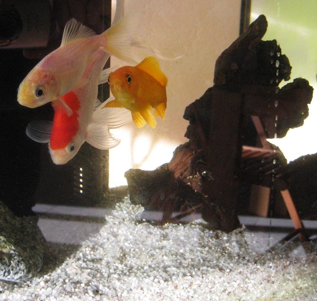 Vis ma vie de travail à mi temps - Elsa-Saône Word