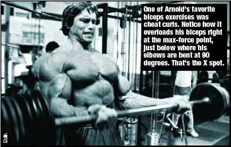 Atacando el bíceps estilo Arnold - El blog de saludydeporte